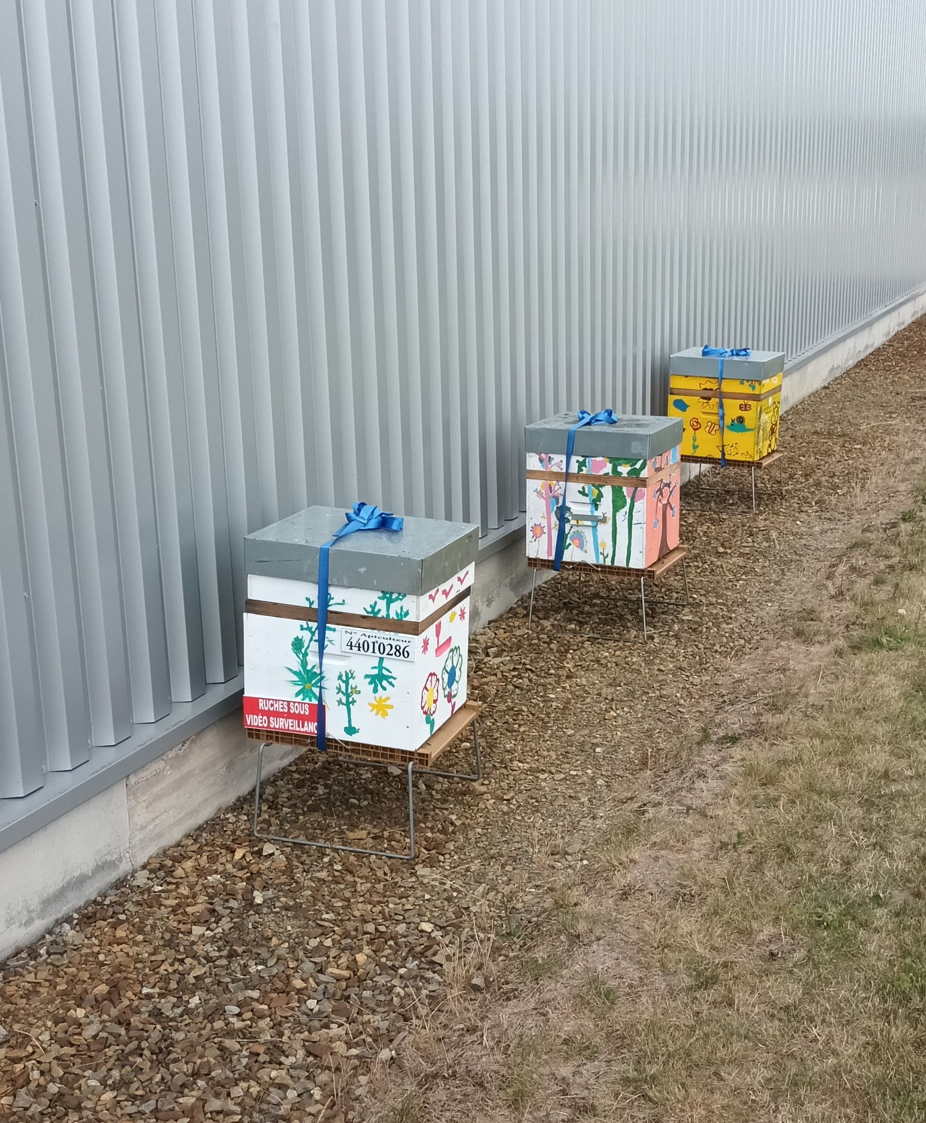 Installation de ruches chez APA-BETTON, démarche RSE